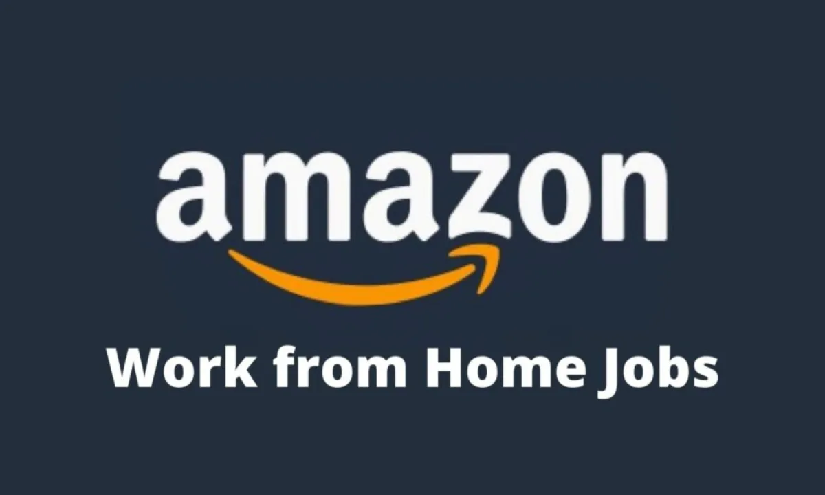 Amazon Work From Home Job – 10th Pass Ghar Baithe Kamaye